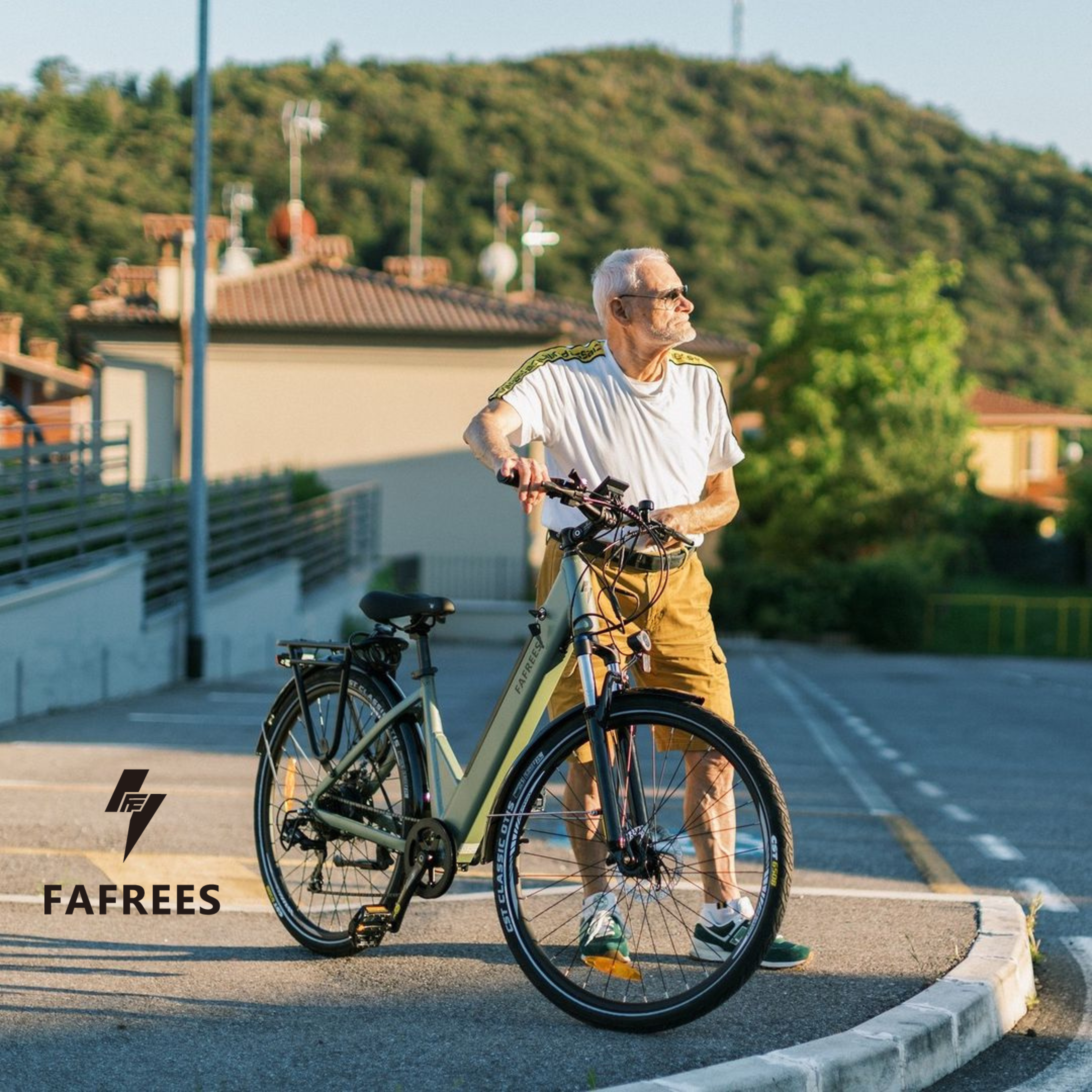 Fafrees Electric Bike – Electric Phoenix