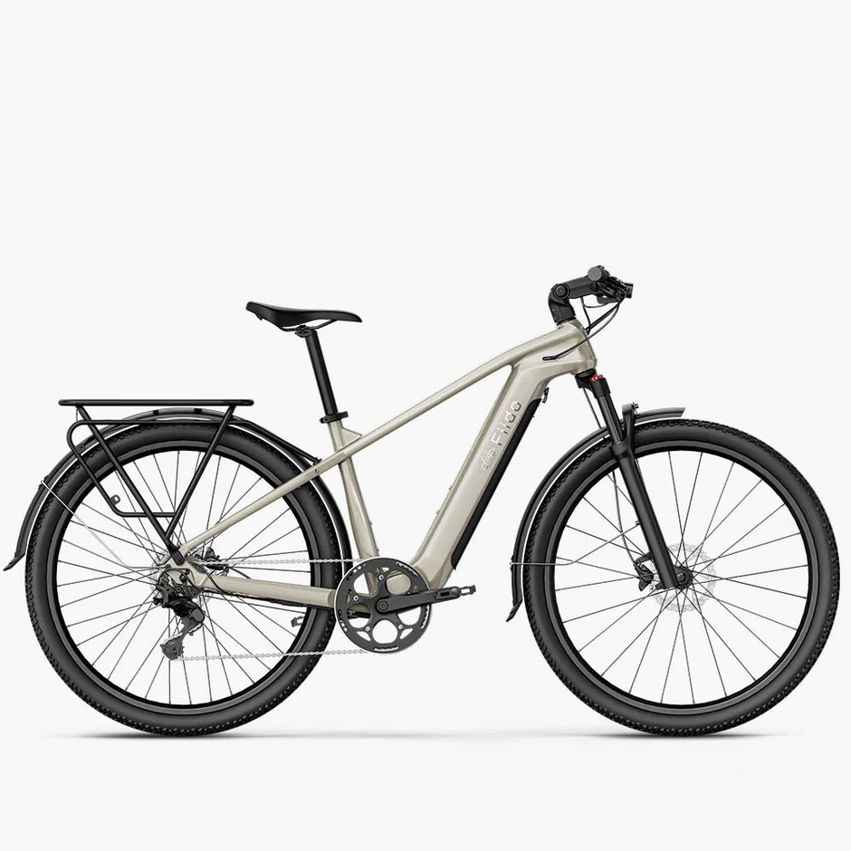 Fiido Electric Bike – Electric Phoenix
