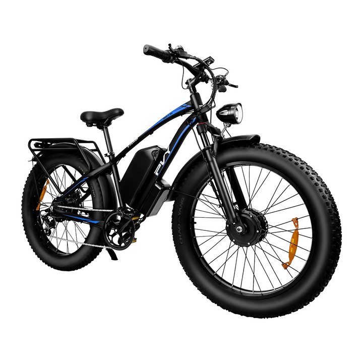 PVY Electric Bike – Electric Phoenix